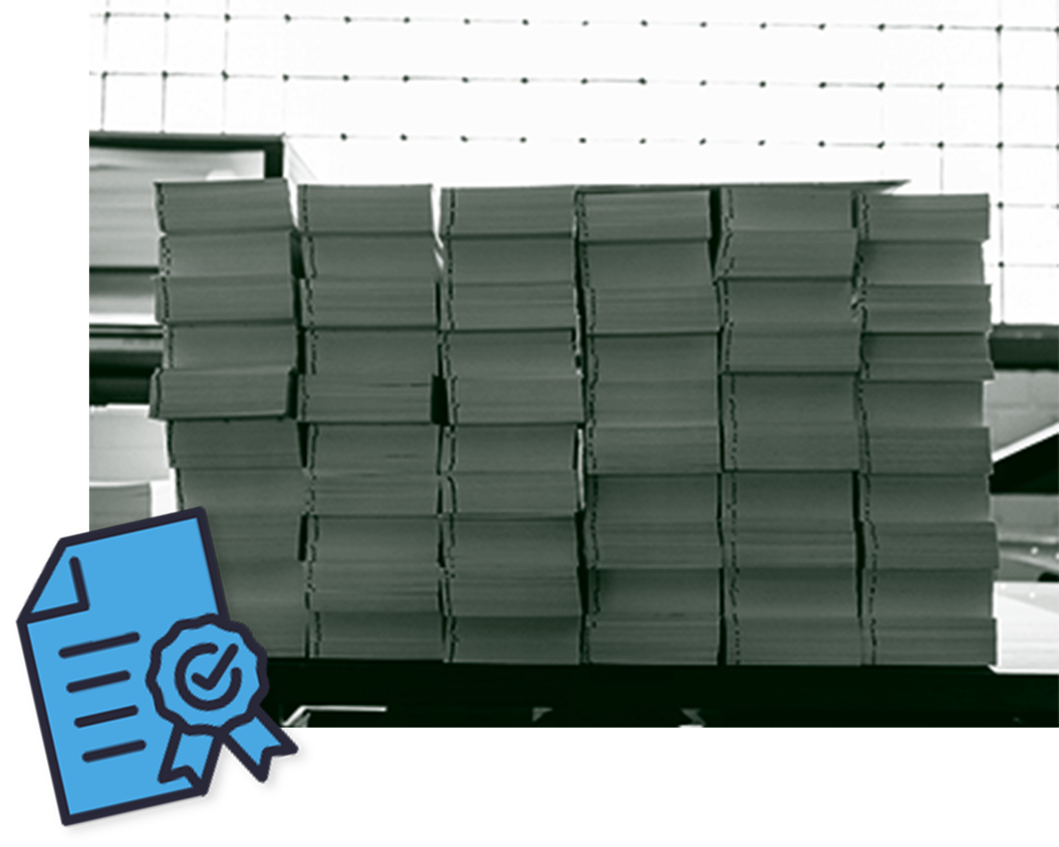 How WI Elections Work - WI Election Facts